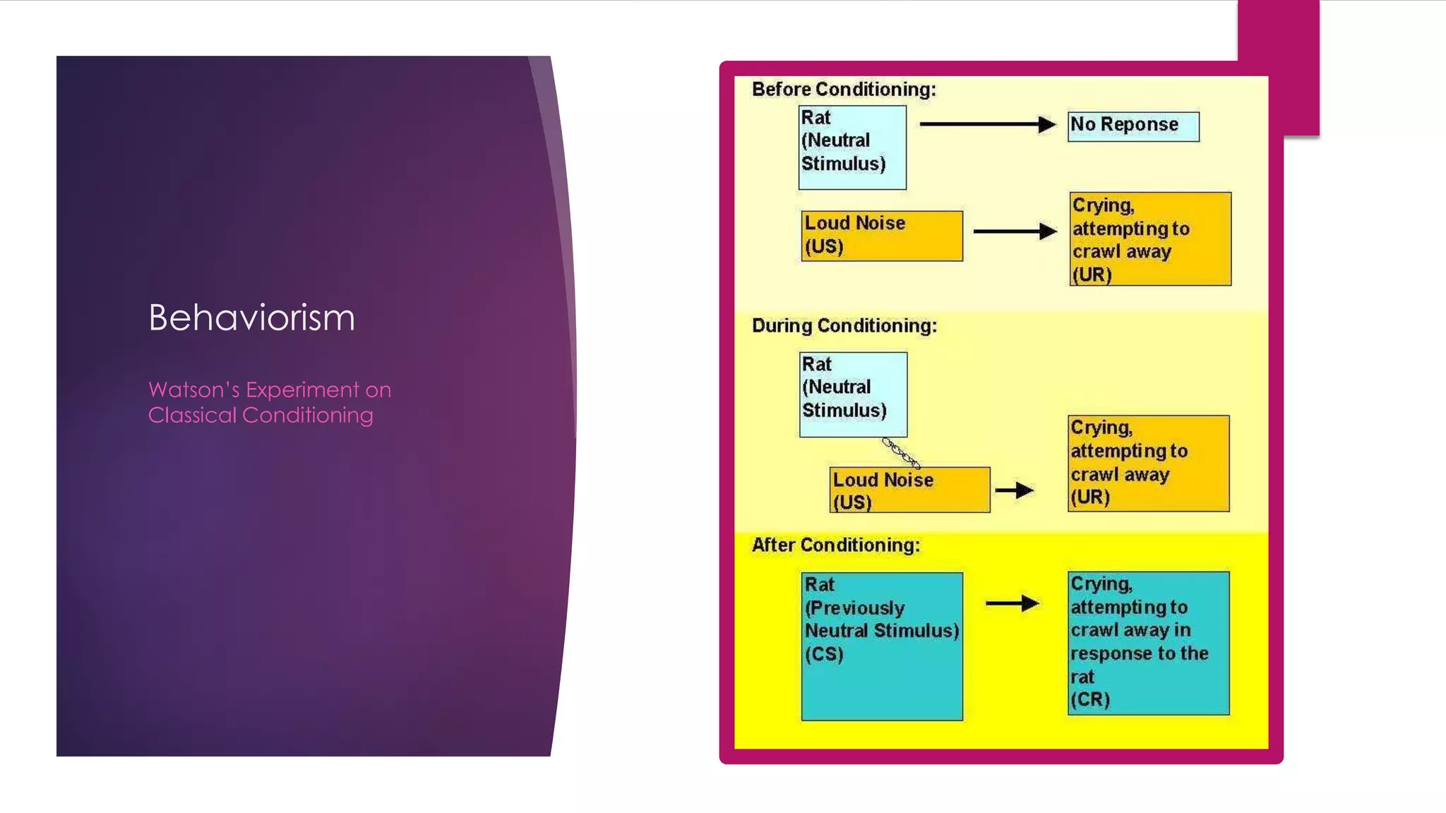 Presentation on behaviorism | PDF