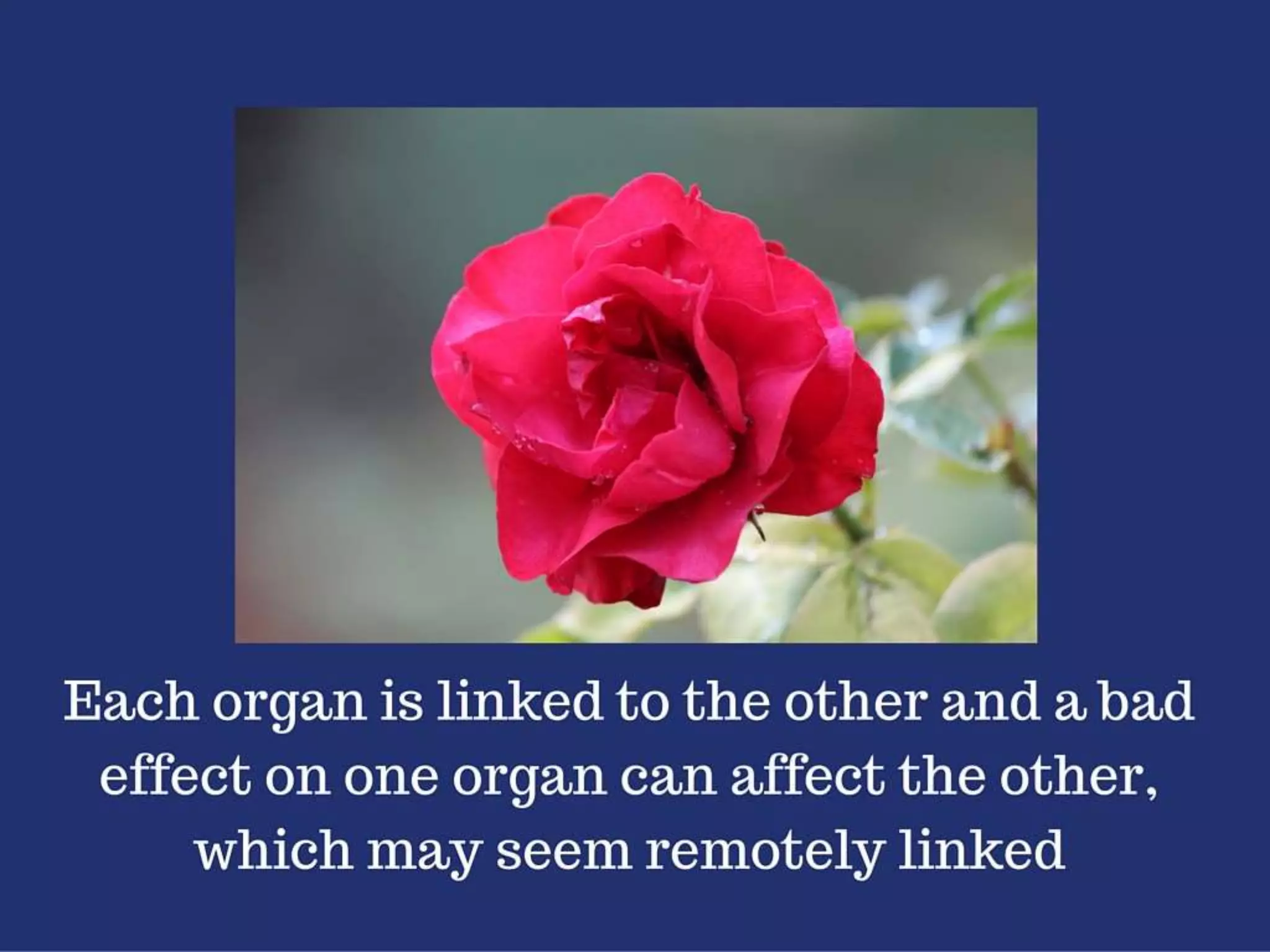 Presentation on benefits of clapping | PPTX