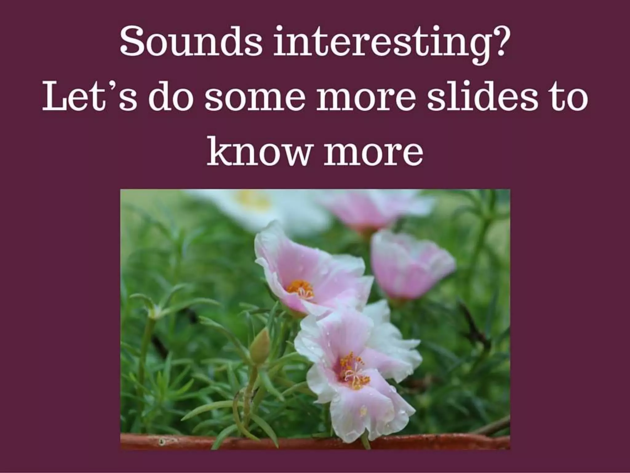 Presentation on benefits of clapping | PPTX