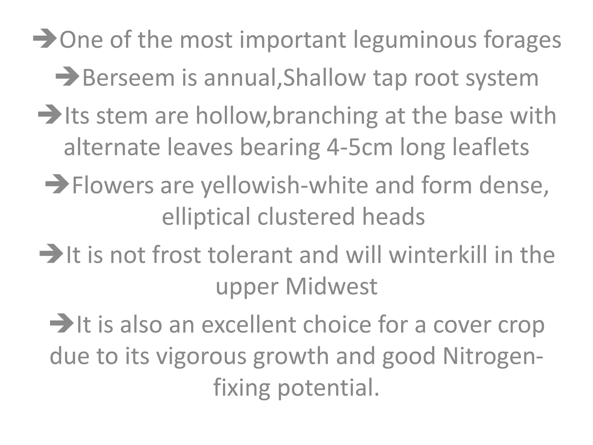 Presentation on berseem | PPTX