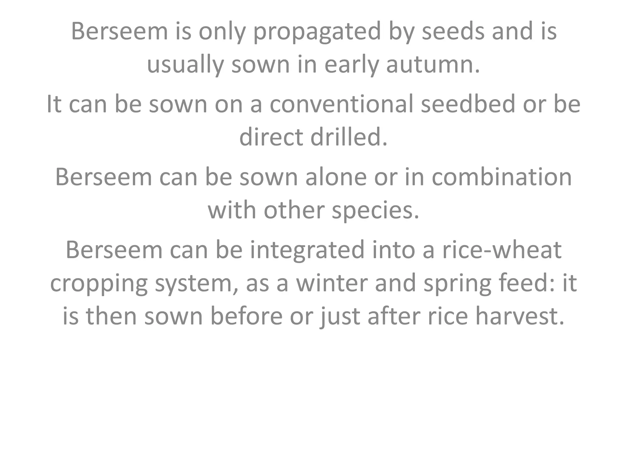 Presentation on berseem | PPTX