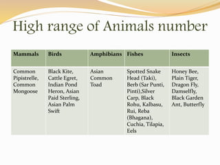 Biodiversity | PPT