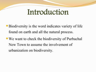 Biodiversity | PPT