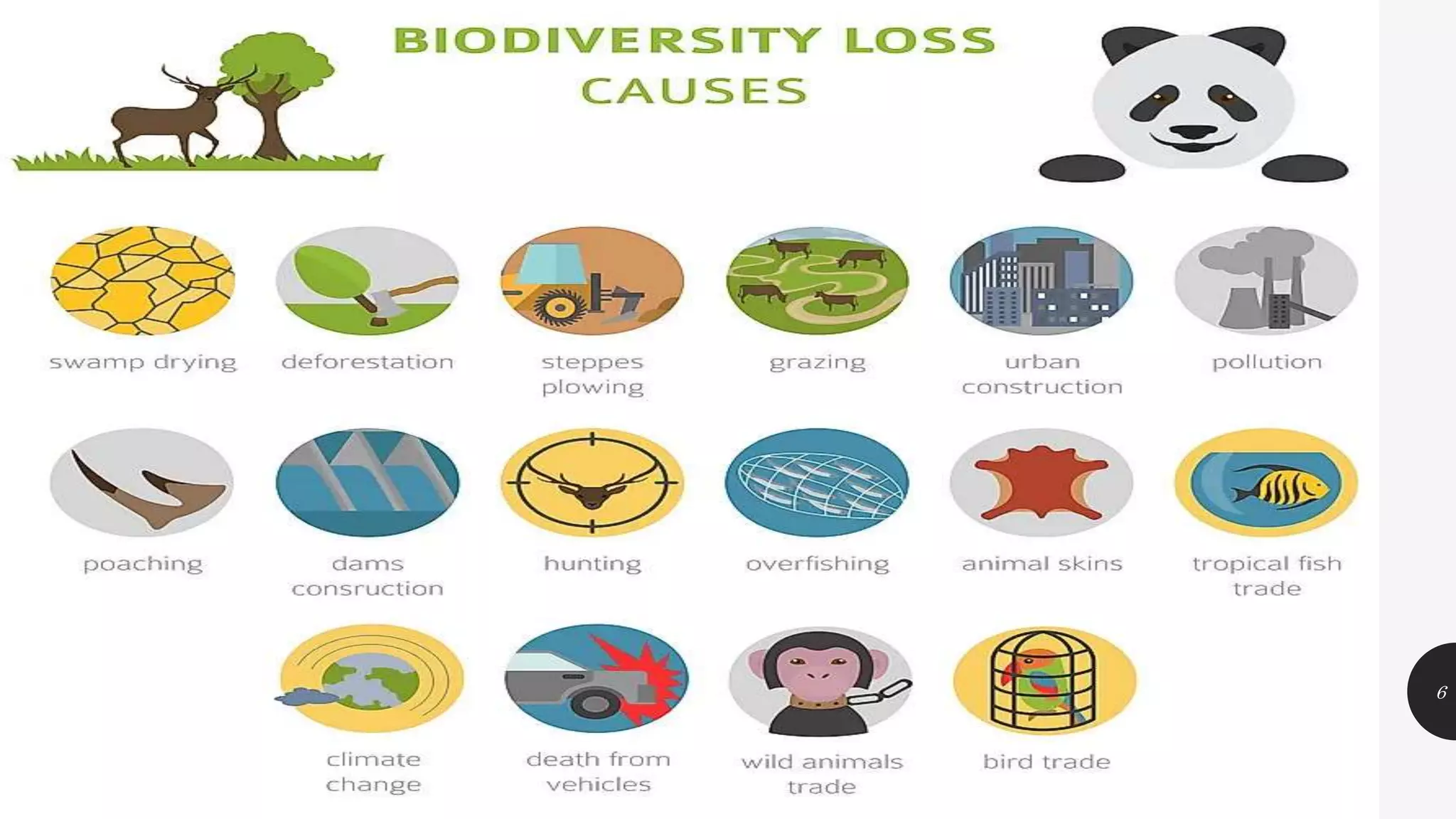 Presentation on Biodiversity_issues_concern_management.pptx