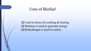 Presentation on Biofuel.pptx