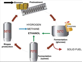 Presentation - Bio-fuels Generation | PPTX