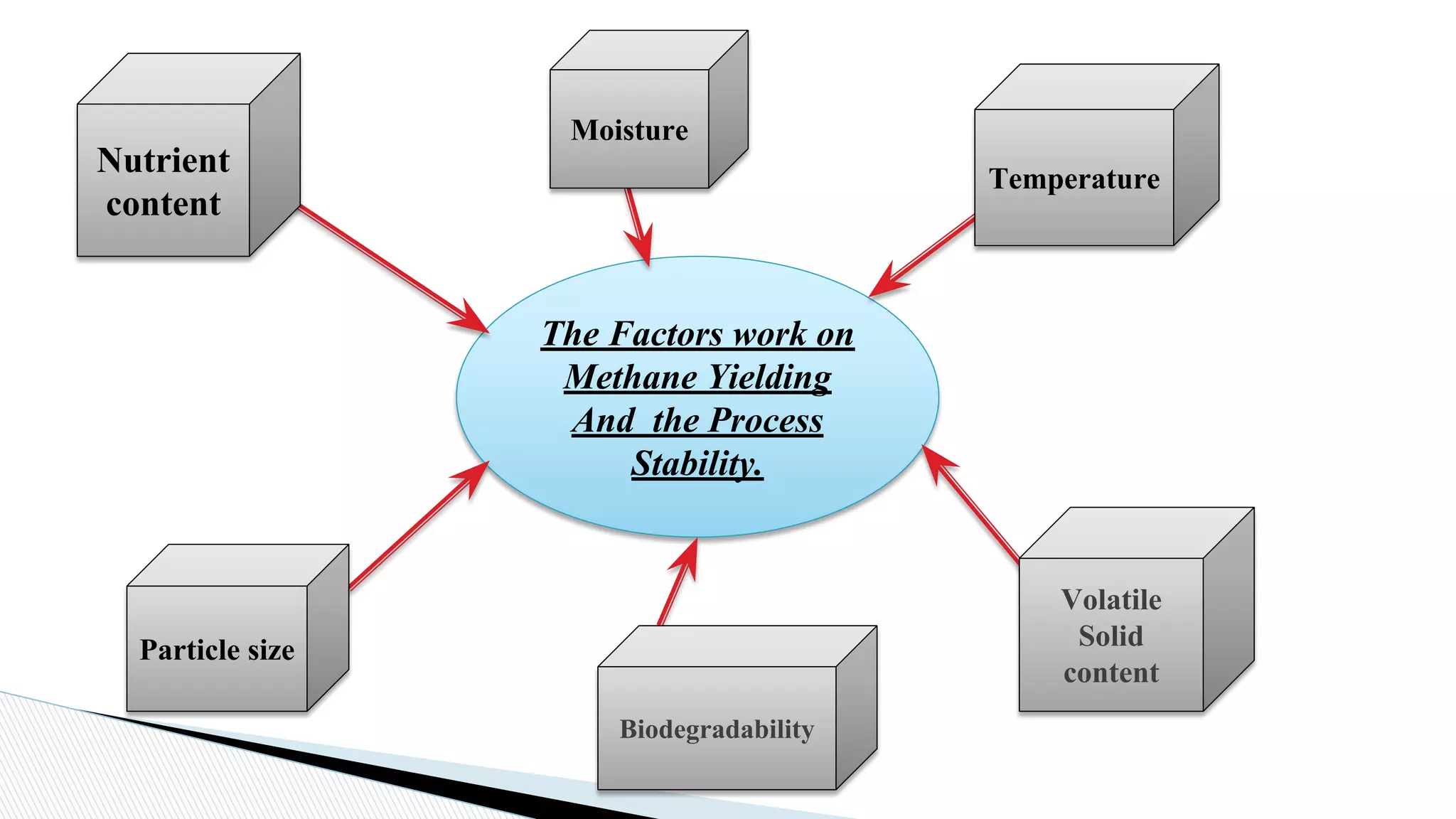Presentation on Bio Gas.pdf