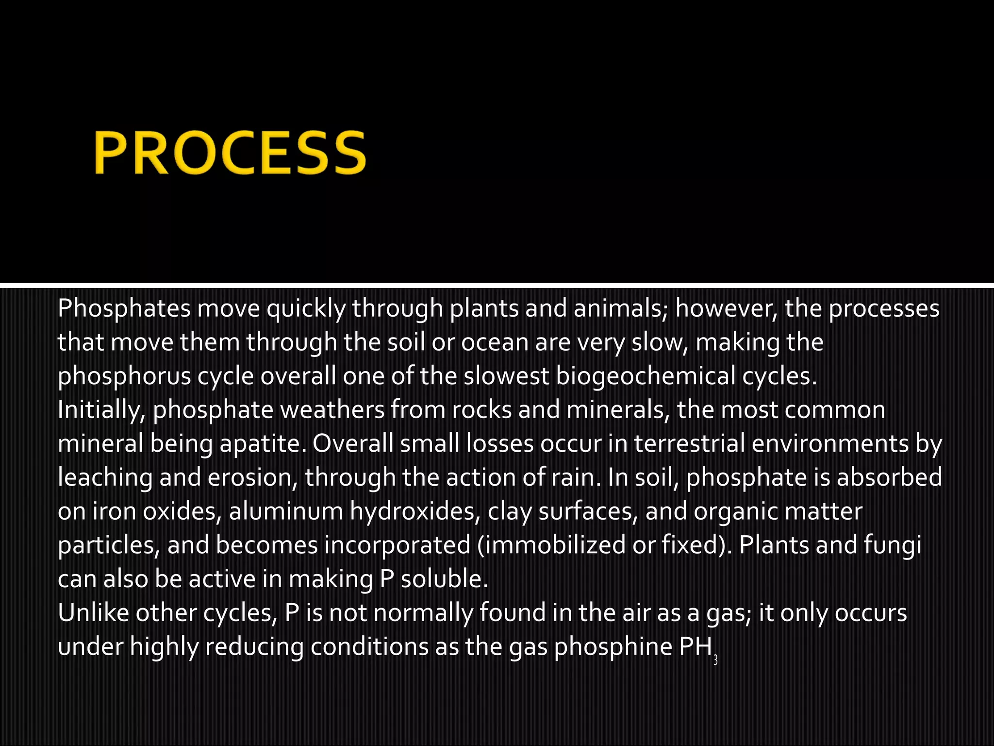Presentation on biogeochemical cycles 2 | PPT | Science