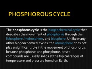 Presentation on biogeochemical cycles 2 | PPT | Science