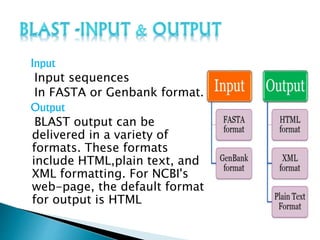 Blast | PPT