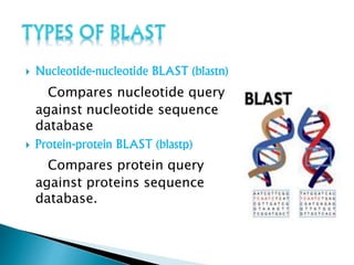 Blast | PPT