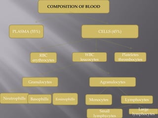 Blood | PDF