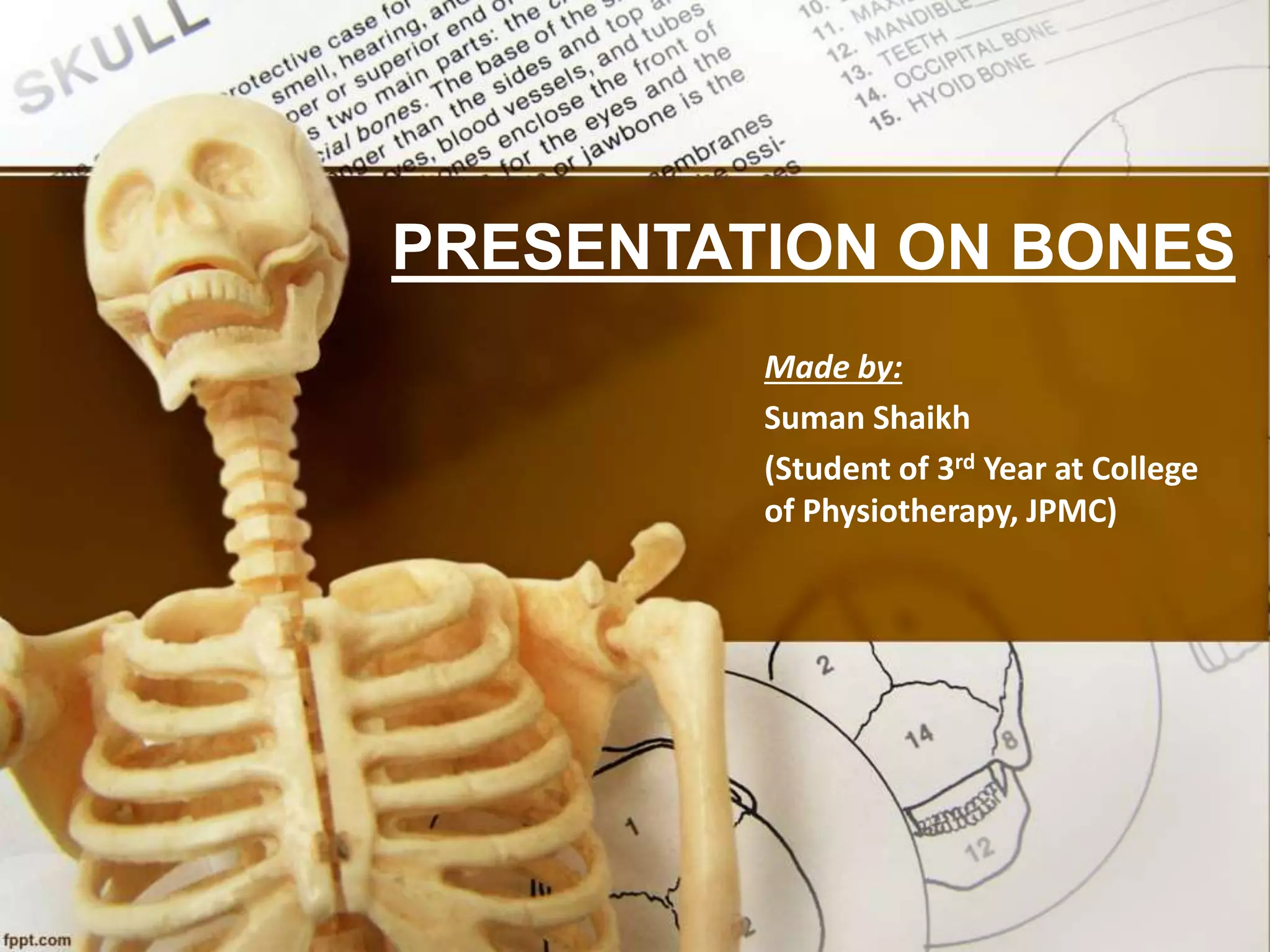 Presentation on bones | PPSX