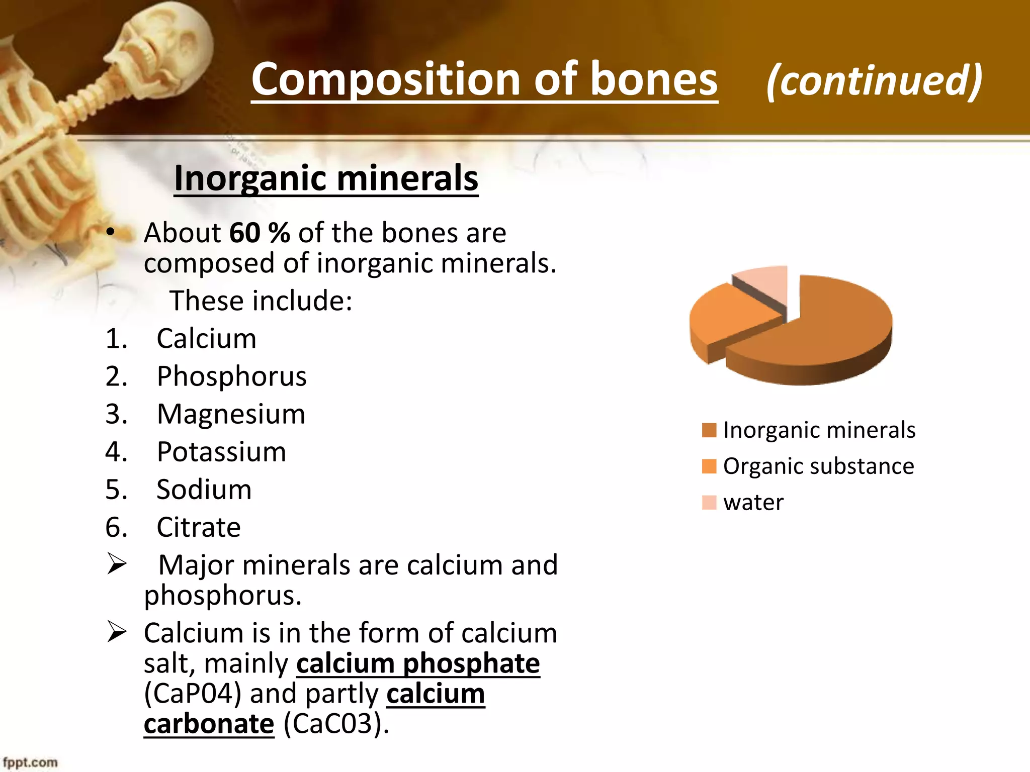 Presentation on bones | PPSX