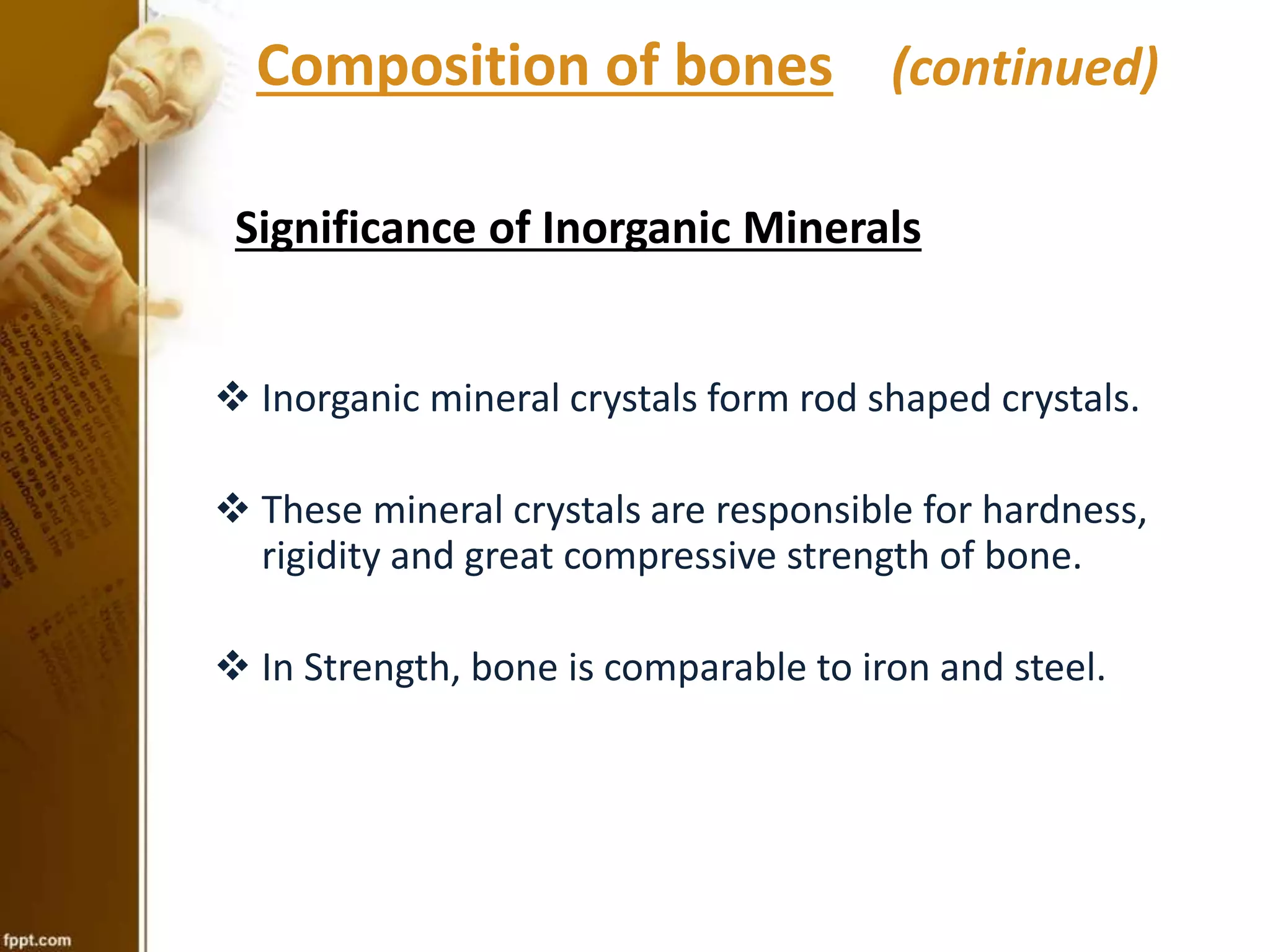 Presentation on bones | PPSX