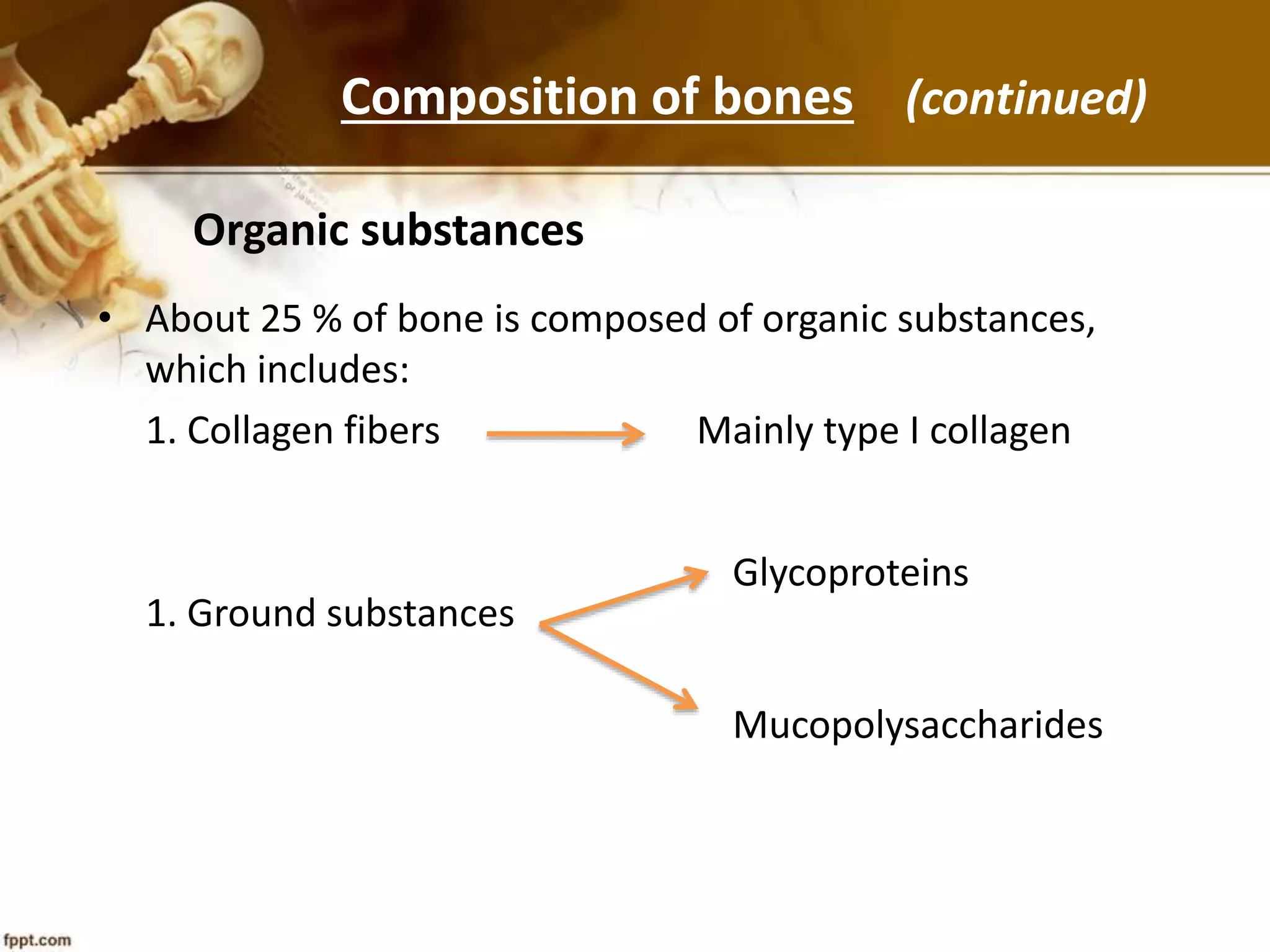 Presentation on bones | PPSX
