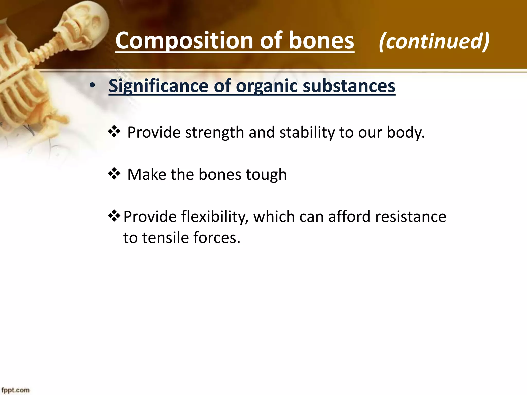 Presentation on bones | PPSX