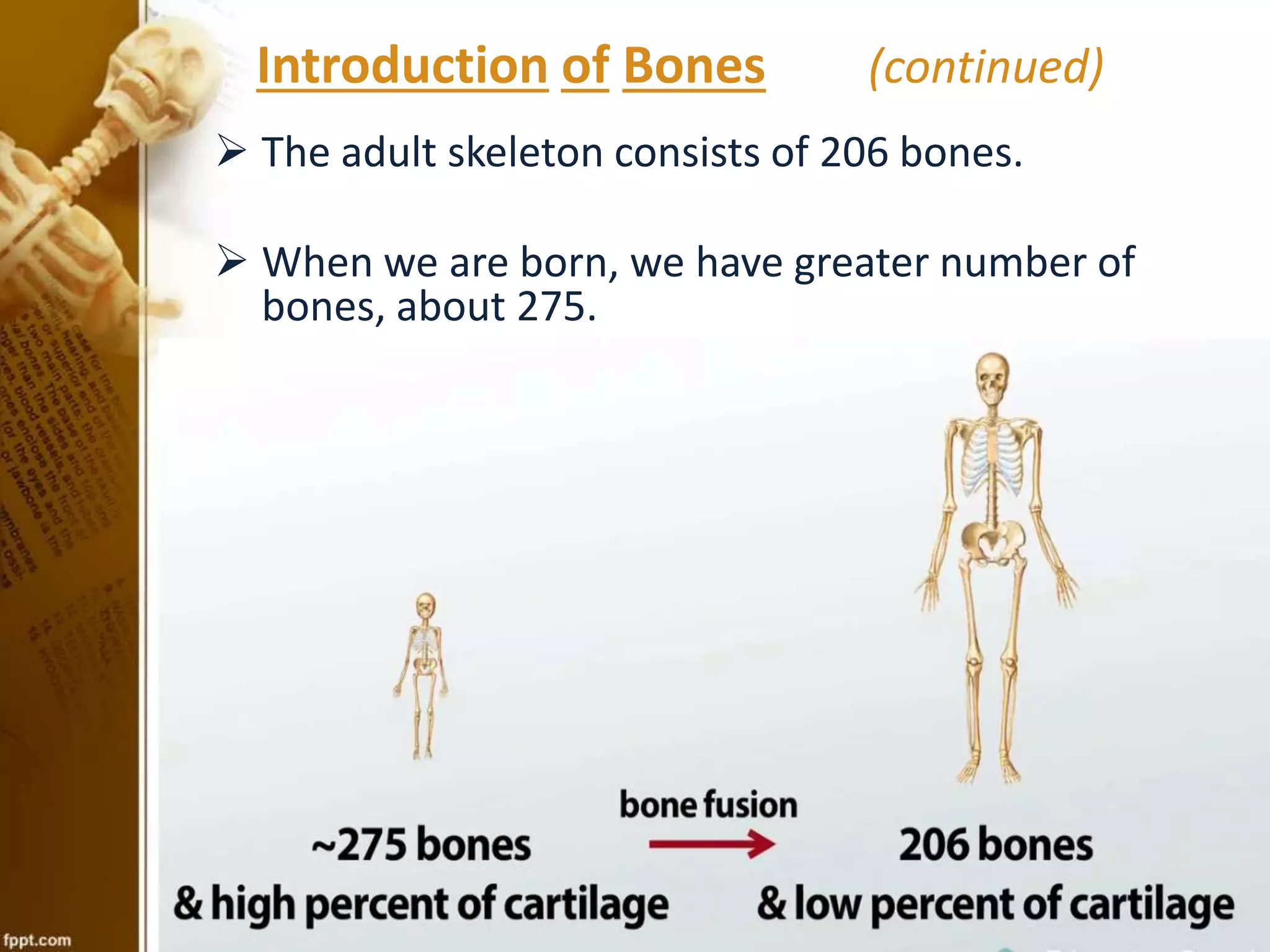 Presentation on bones | PPSX
