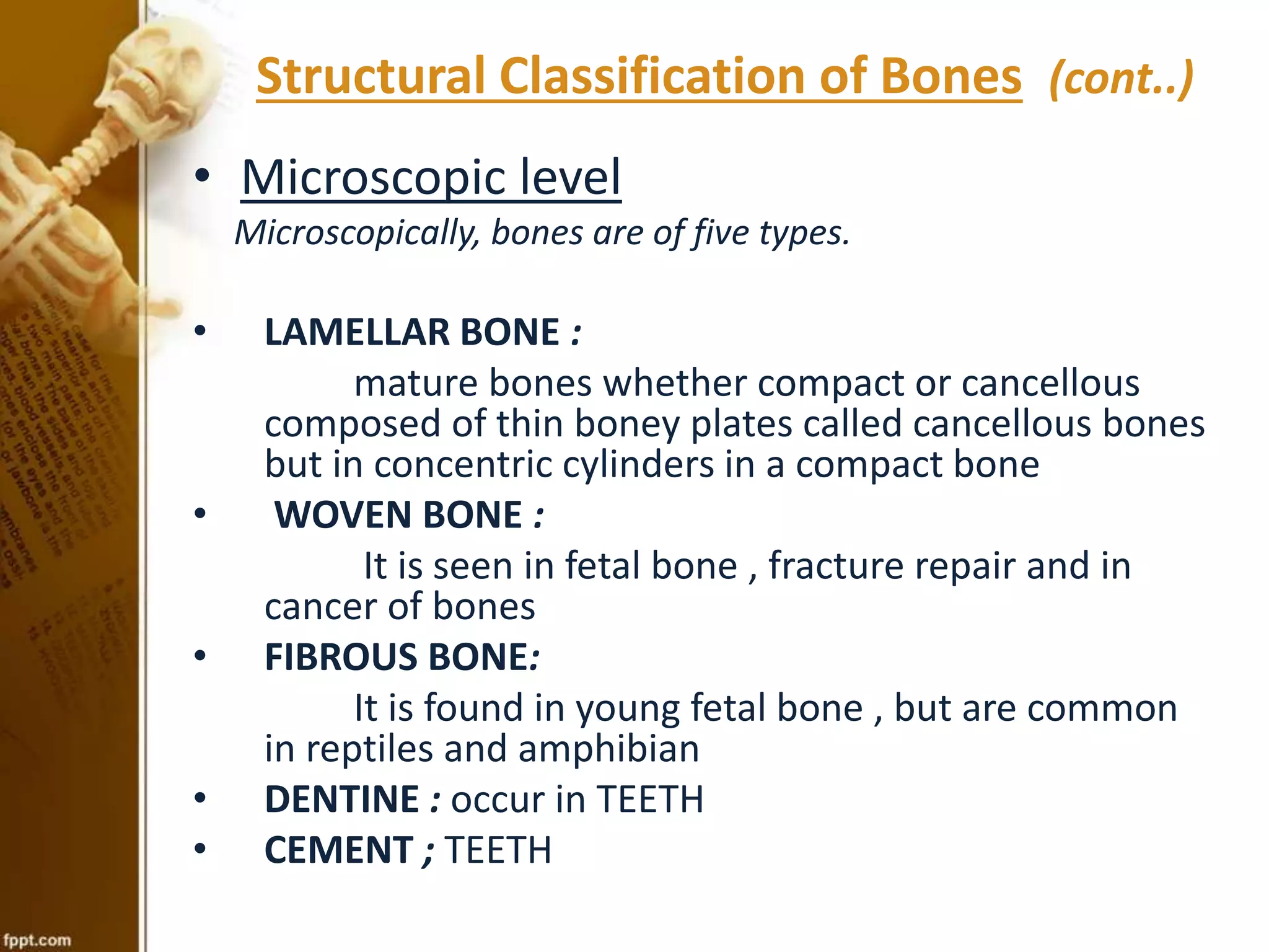 Presentation on bones | PPSX