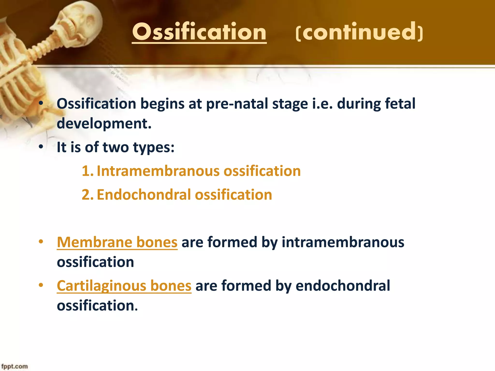 Presentation on bones | PPSX