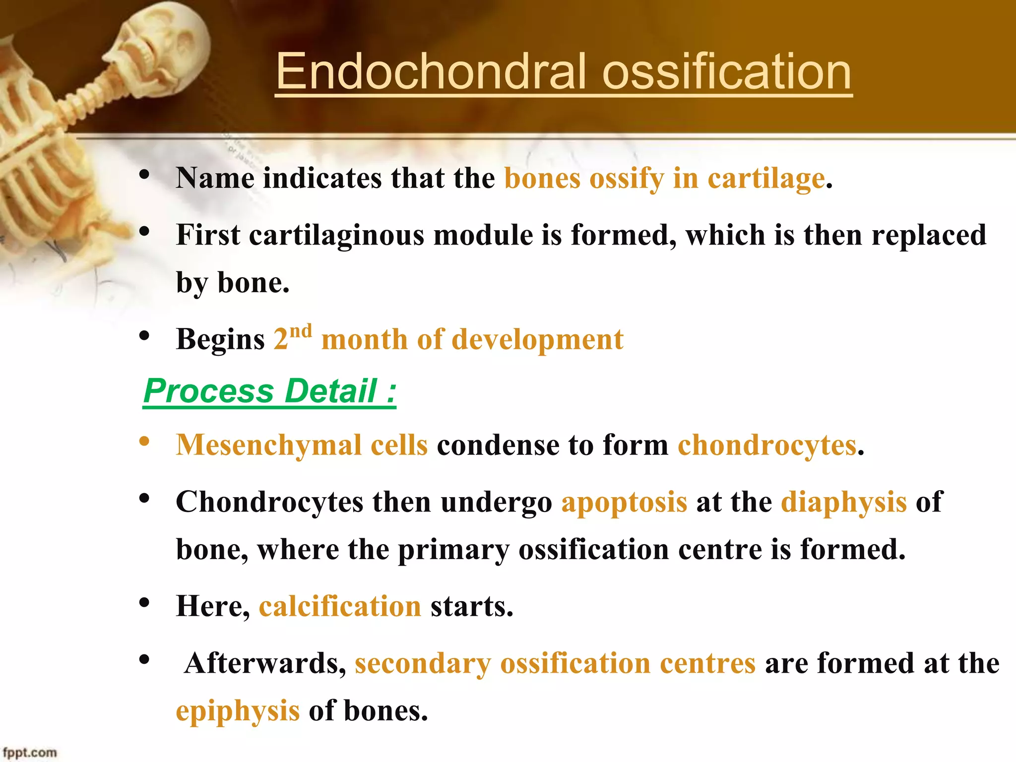Presentation on bones | PPSX