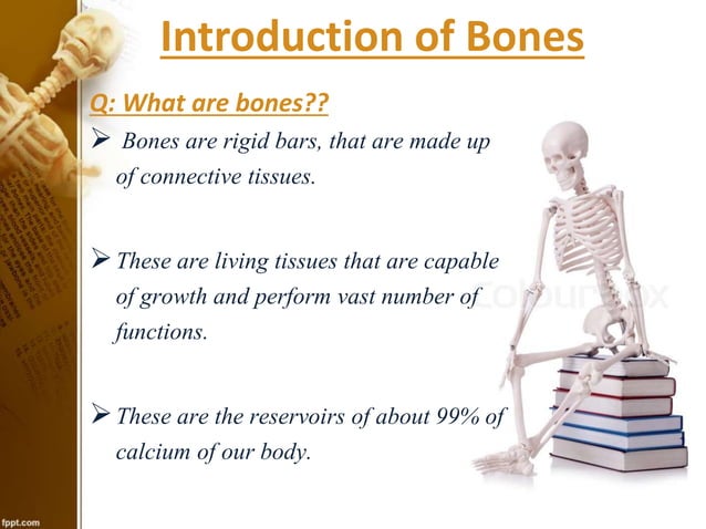 Presentation on bones | PPSX