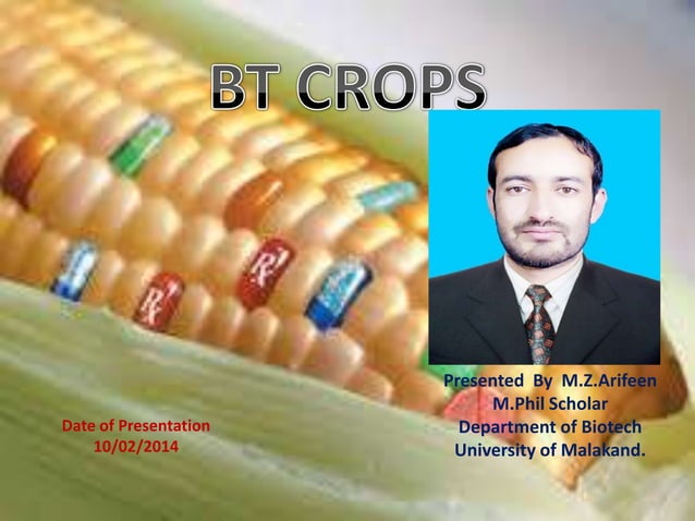 BT crops | PPTX | Genetics | Science