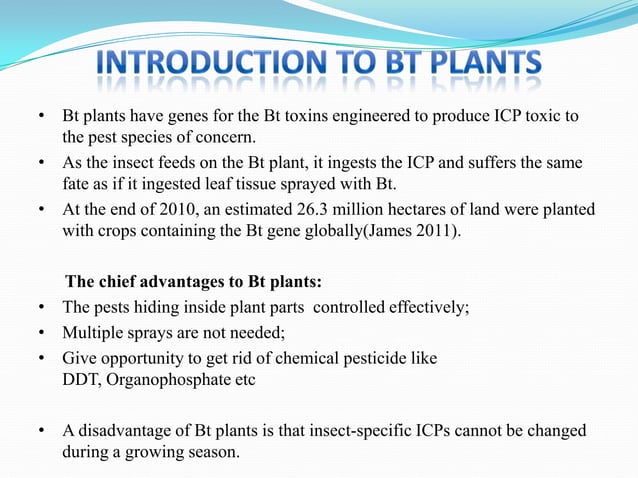 BT crops | PPTX | Genetics | Science