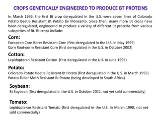 BT crops | PPTX