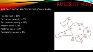 BURNS - PEDIATRICS | PPTX