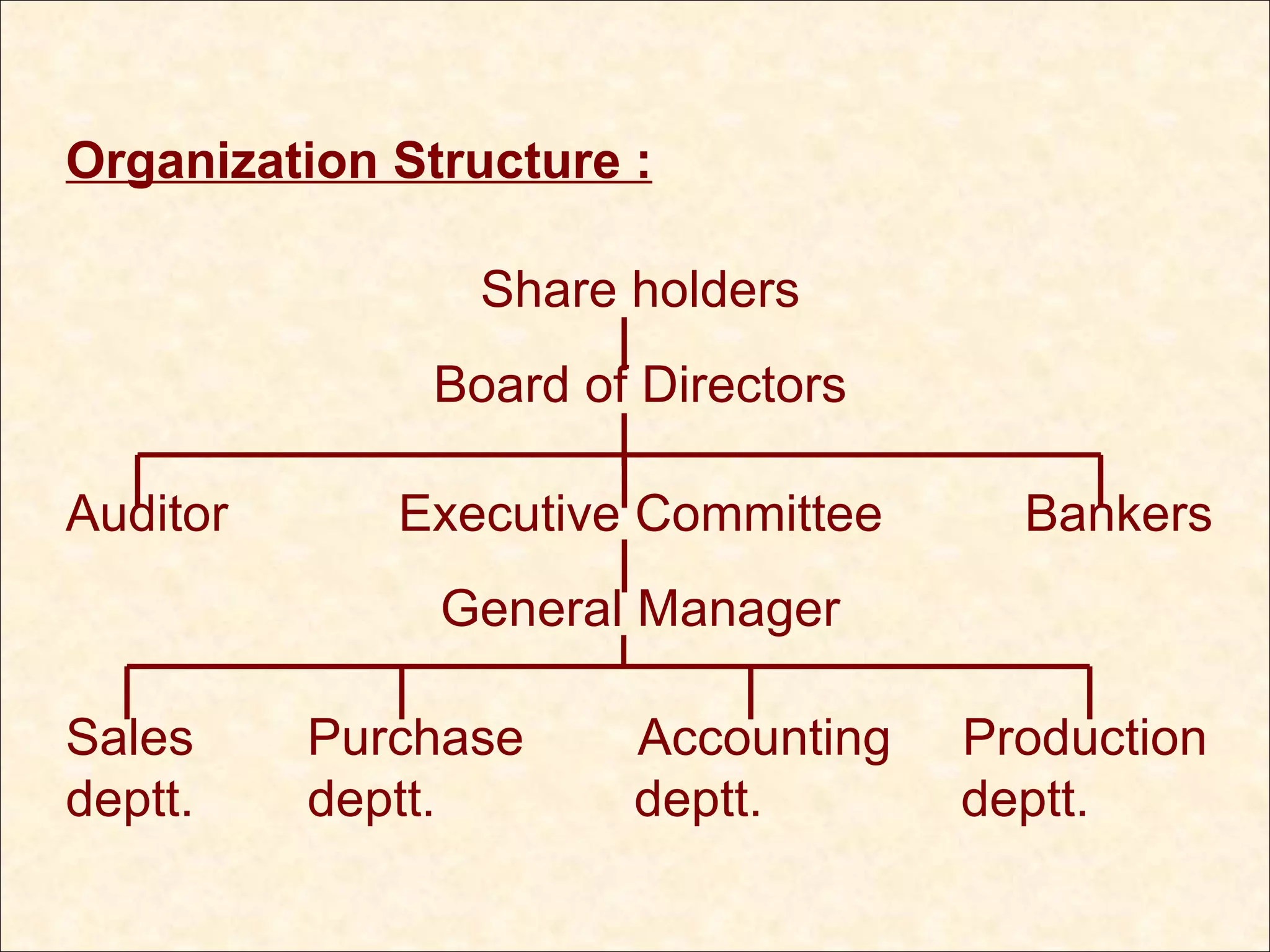 Presentation On Business Organization | PPT