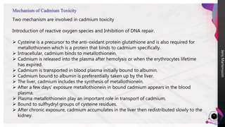 Presentation on cadmium poisoning | PPTX