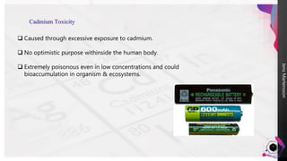 Presentation on cadmium poisoning | PPTX
