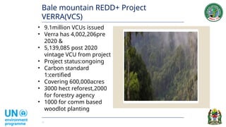 Presentation on carbon trading ARGEO 10.pptx