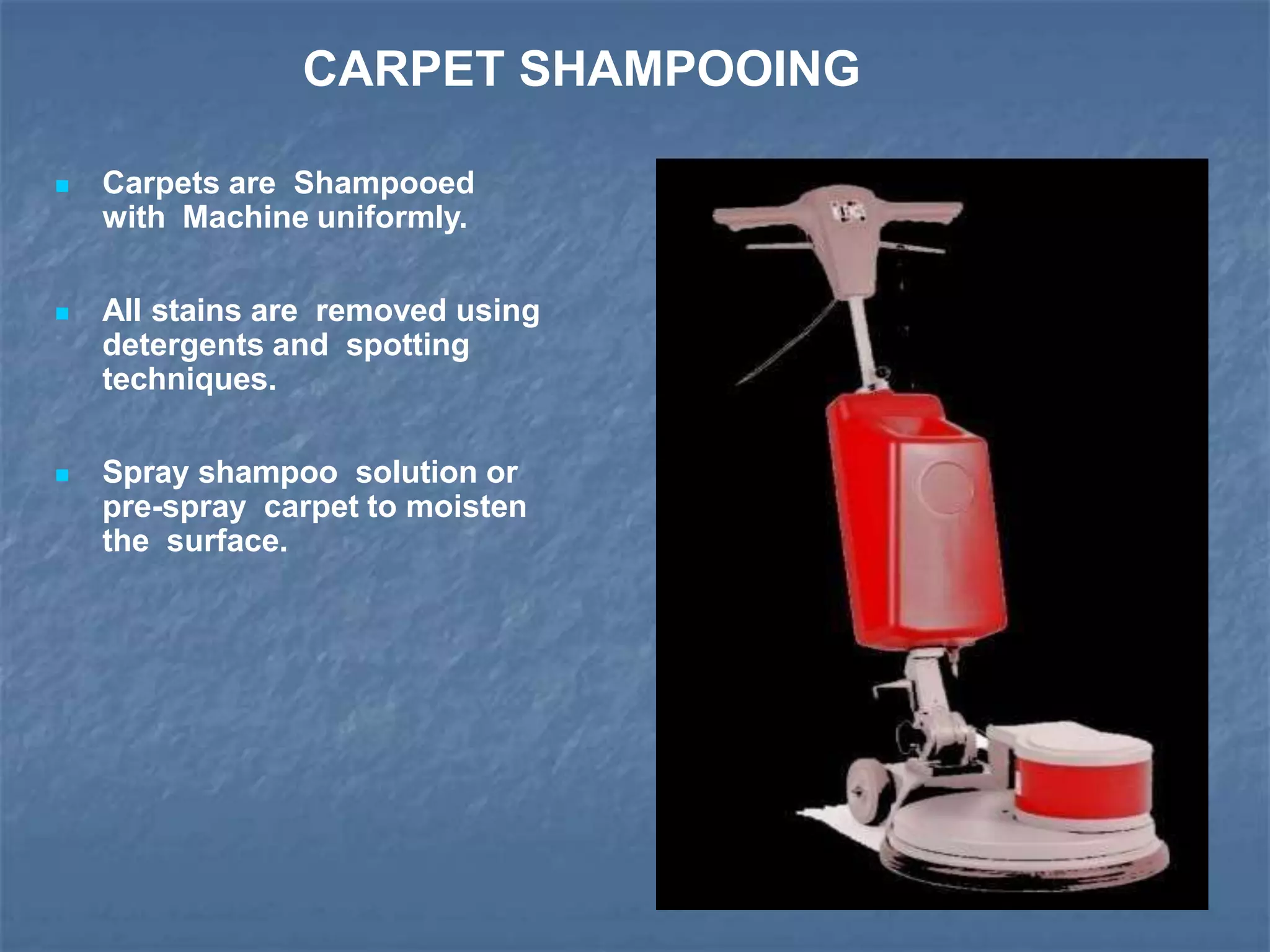 Presentation on carpets and rugs | PPTX