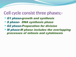 presentationoncellcycle-121117091705-phpapp01.pptx