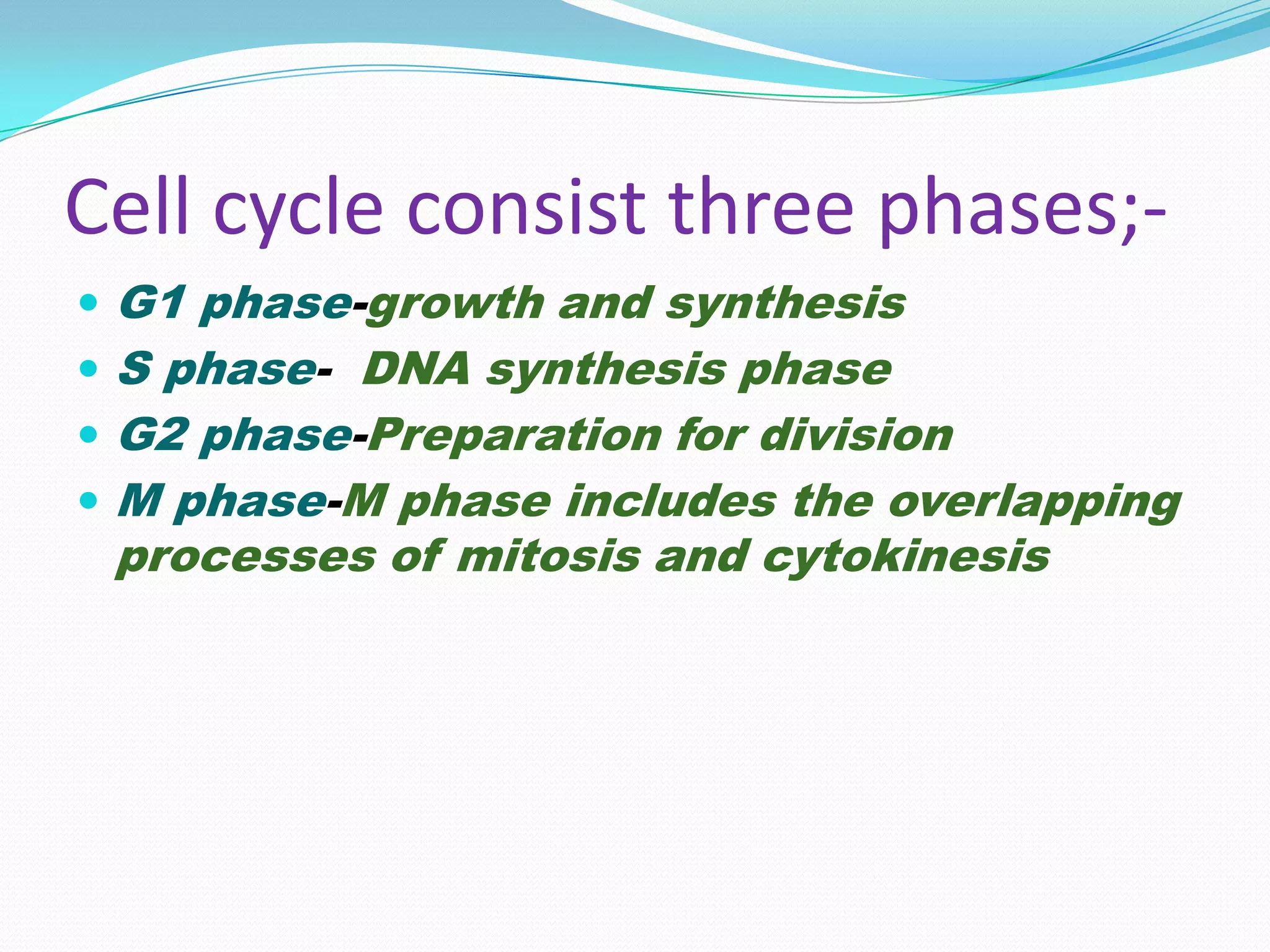 Presentation on cell cycle | PPTX