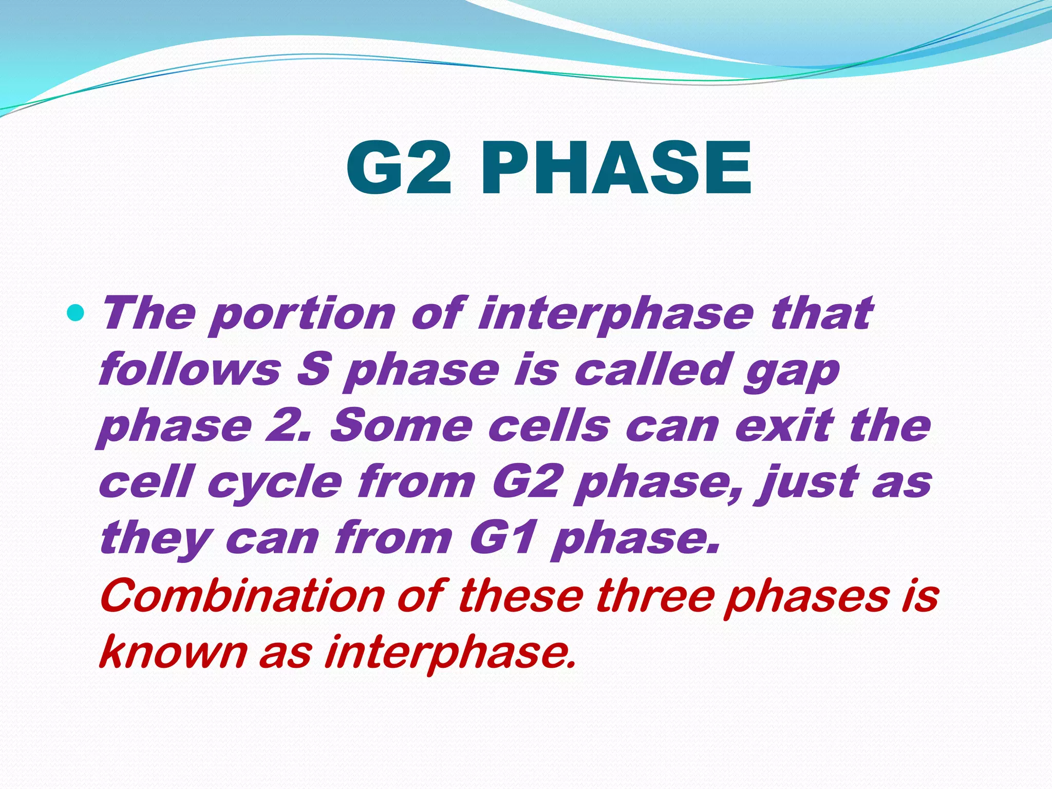 Presentation on cell cycle | PPTX