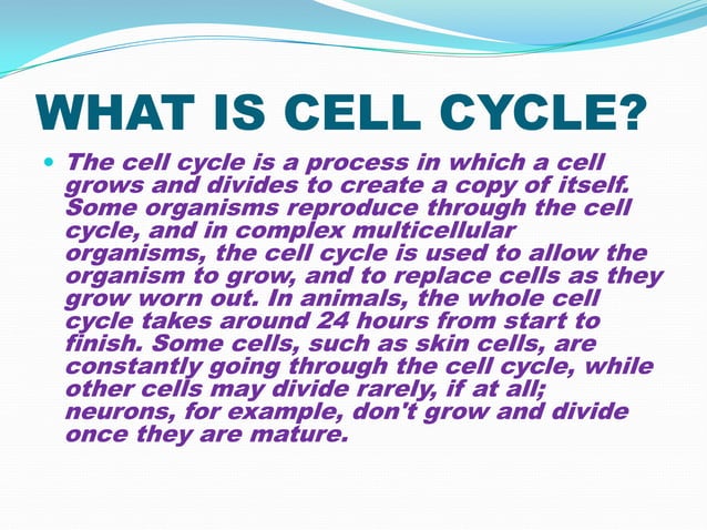 Presentation on cell cycle | PPTX