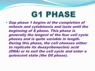 Presentation on cell cycle | PPTX