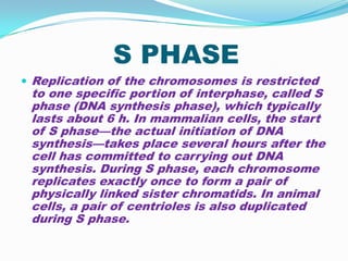 Presentation on cell cycle | PPTX