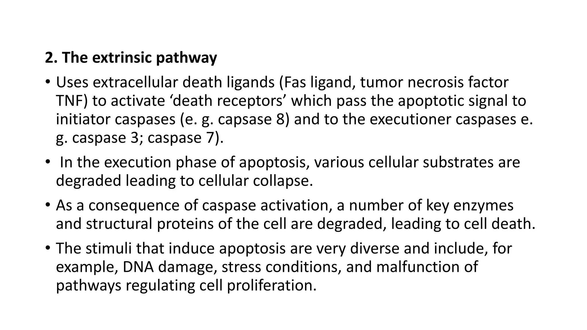 Cell Cycle and Cell Death.pptx