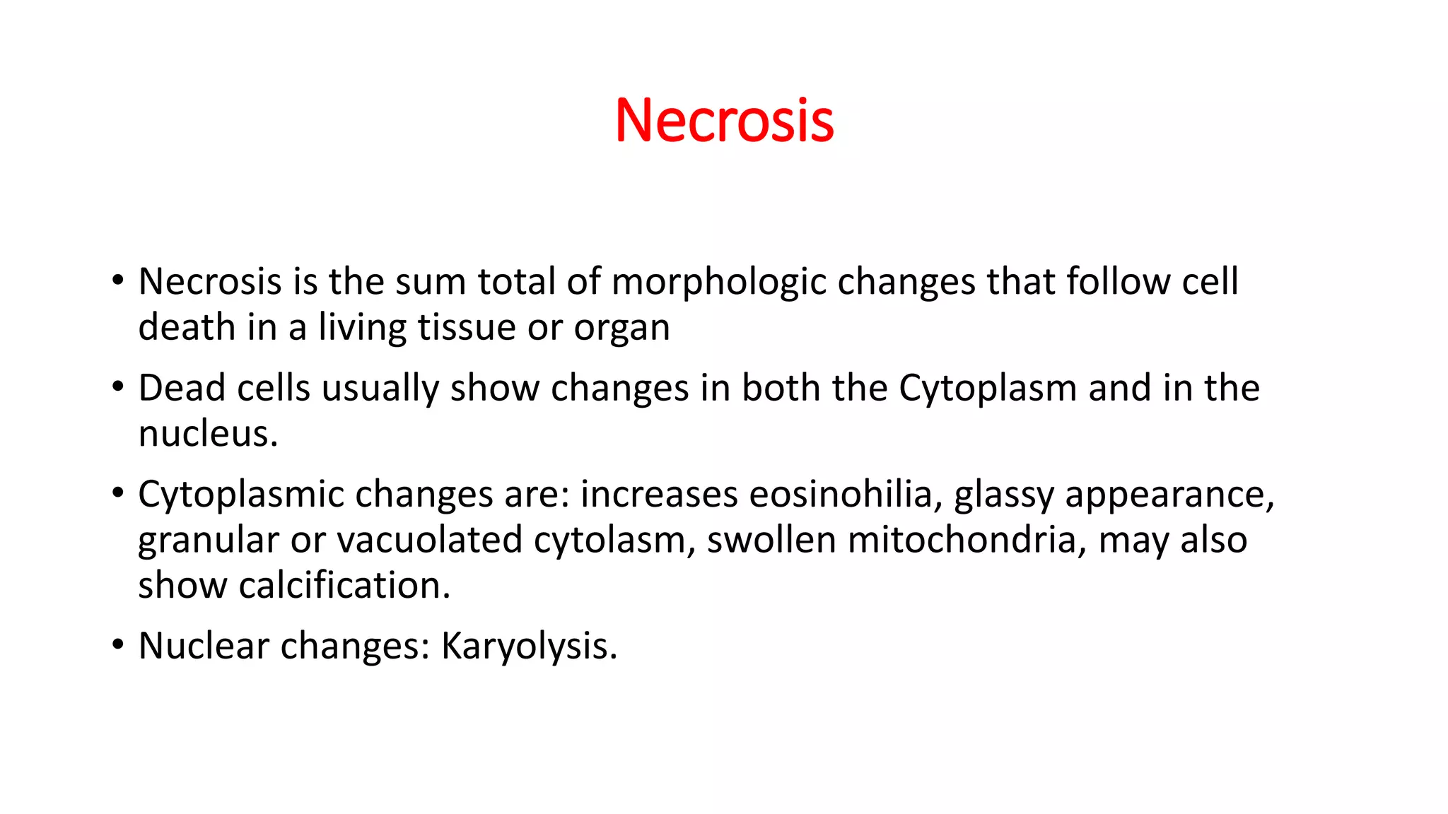 Cell Cycle and Cell Death.pptx