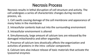 Cell Cycle and Cell Death.pptx