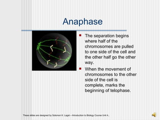 Presentation on cell division via mitosis with voice | PPT