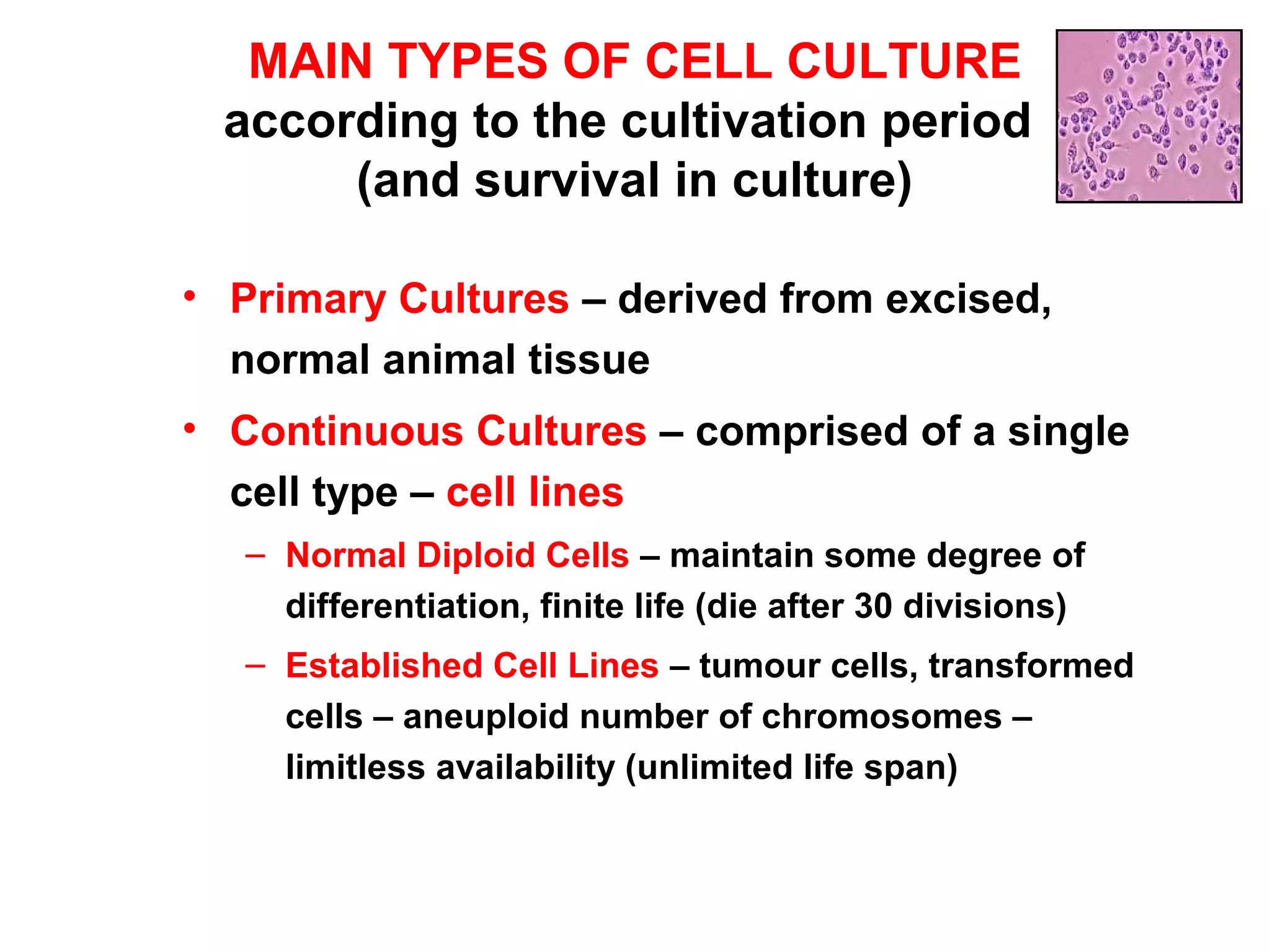 Presentation on cell lines by shakira sulehri | PPT