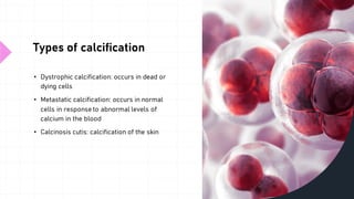 Presentation on Cellular Adaptation & Calcification by Dr. Anurag A ...