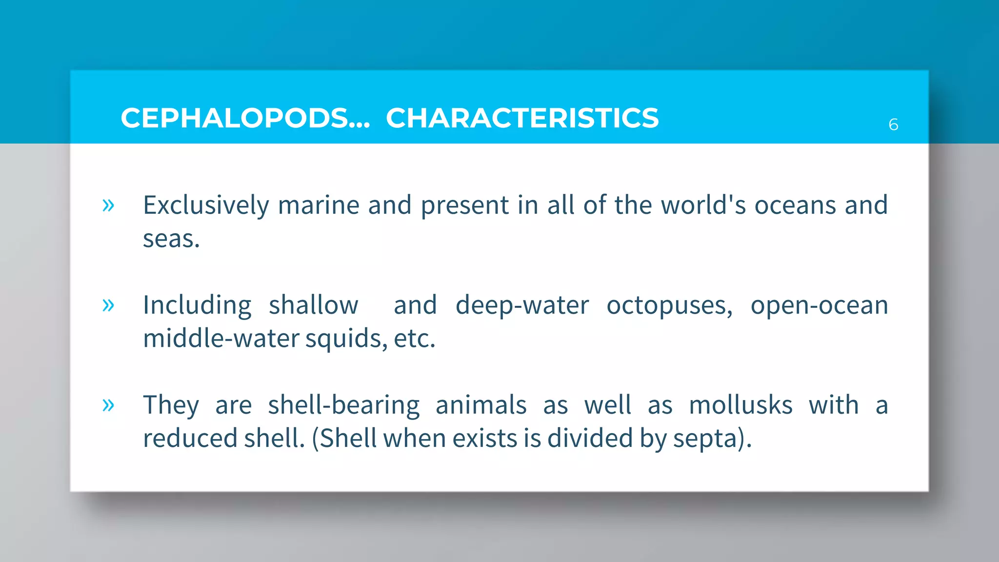 Presentation on cephalopods 1 | PPTX