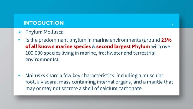 Presentation on cephalopods 1 | PPTX | Fish and Aquariums | Pets