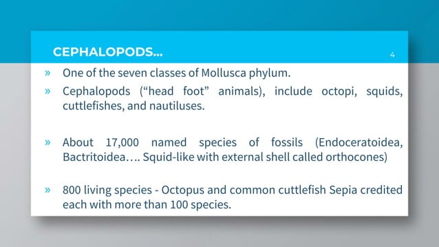 Presentation on cephalopods 1 | PPTX | Fish and Aquariums | Pets